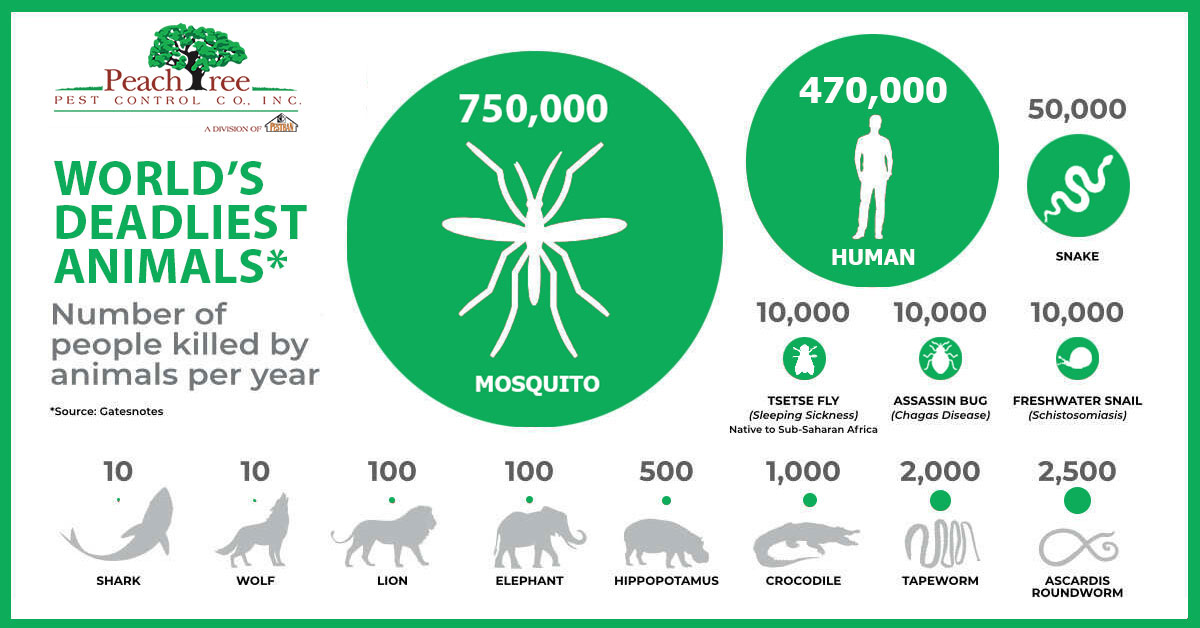 Pest Control for Mosquitoes: Exterminators in Atlanta & Marietta, GA ...