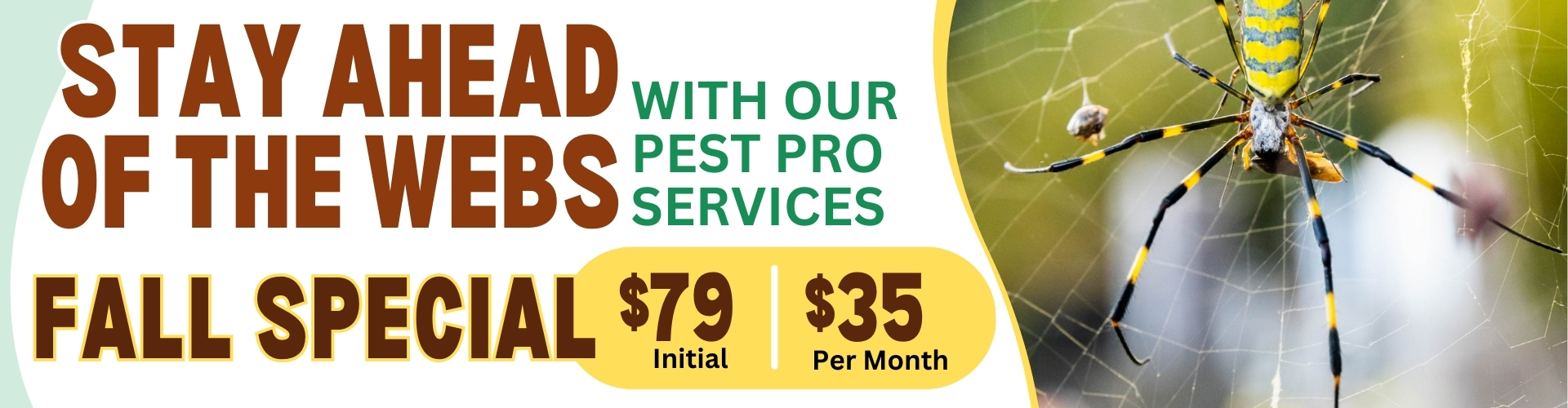 Affordable Pest Control & Top-Rated Exterminators in Atlanta, GA ...