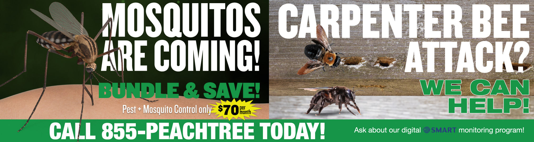 Affordable Pest Control & Top-Rated Exterminators in Atlanta, GA ...